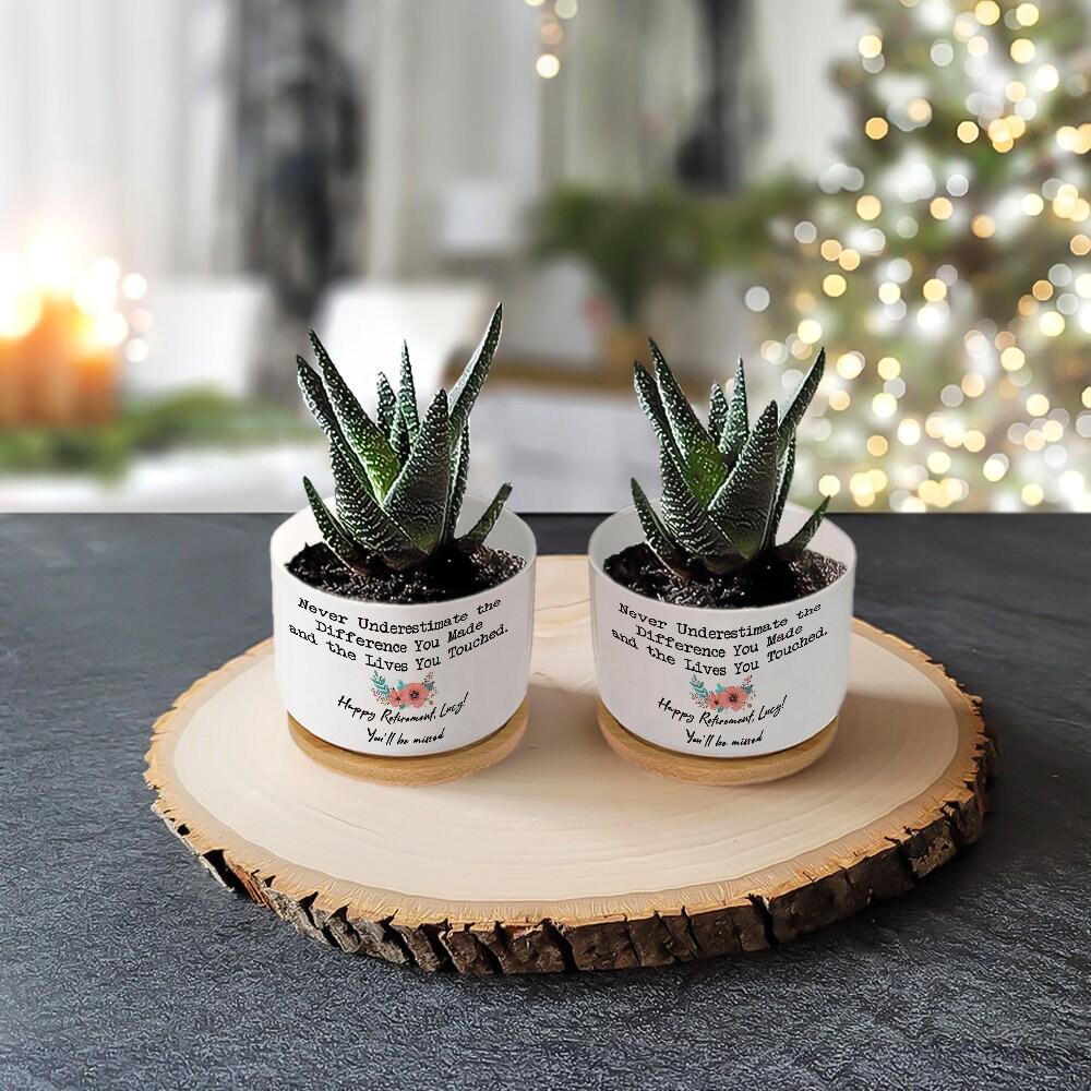 Personalized Retirement Plant Pot, Retirement Mini Planter, Retirement ...