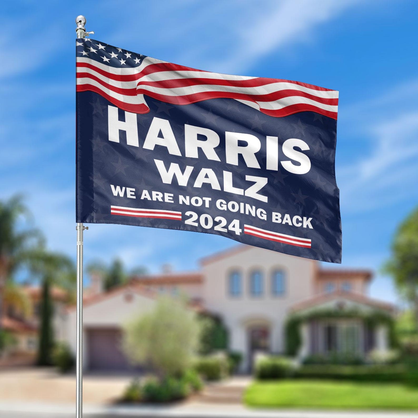 Harris Walz 2024 Flag, Kamala Harris for President Flag, Kamala Harris ...