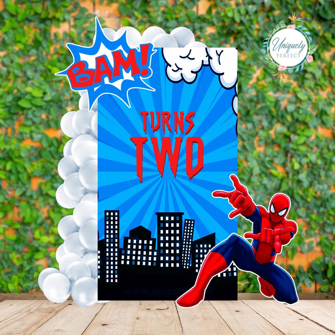 Spidey Birthday Backdrop and Props for a Superhero Themed Birthday ...
