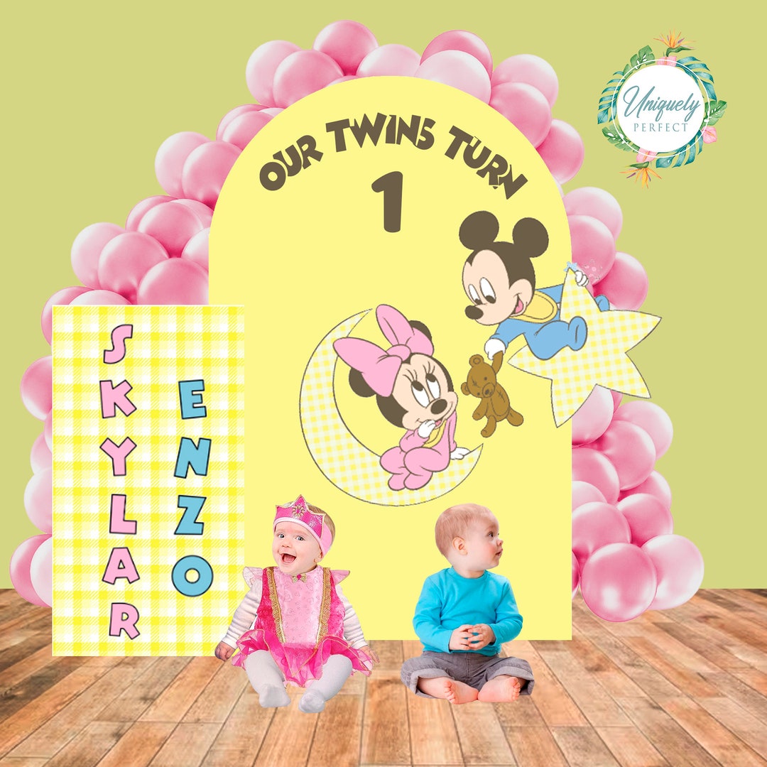 Twins Baby Minnie and Mickey's Magical First Birthday Celebration ...