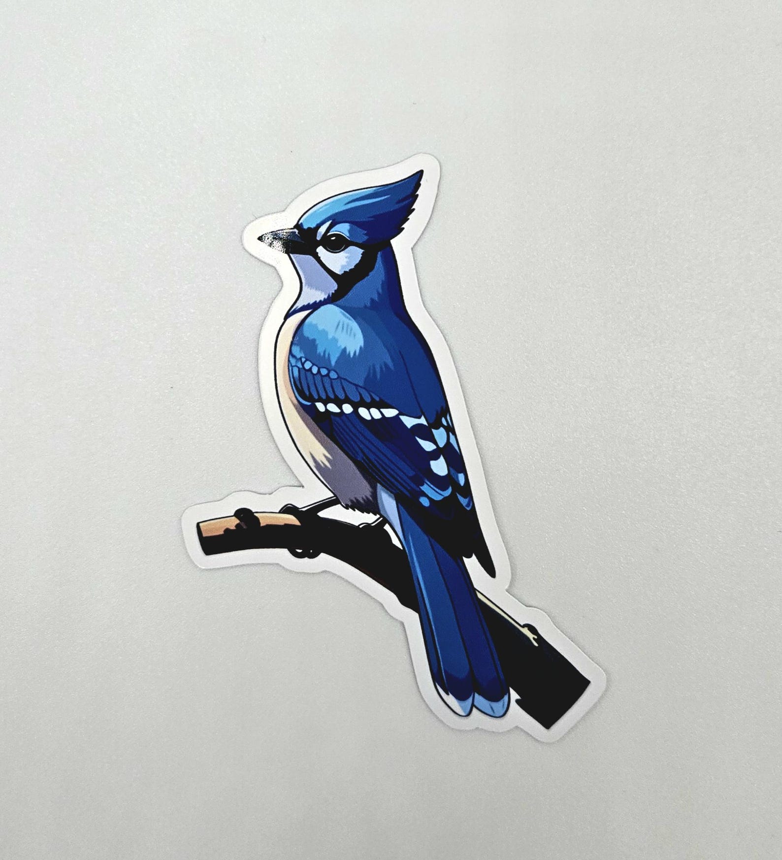 Blue Jay Bird Sticker – Blue Jay Sticker – Wildlife Bird Laptop & Water ...