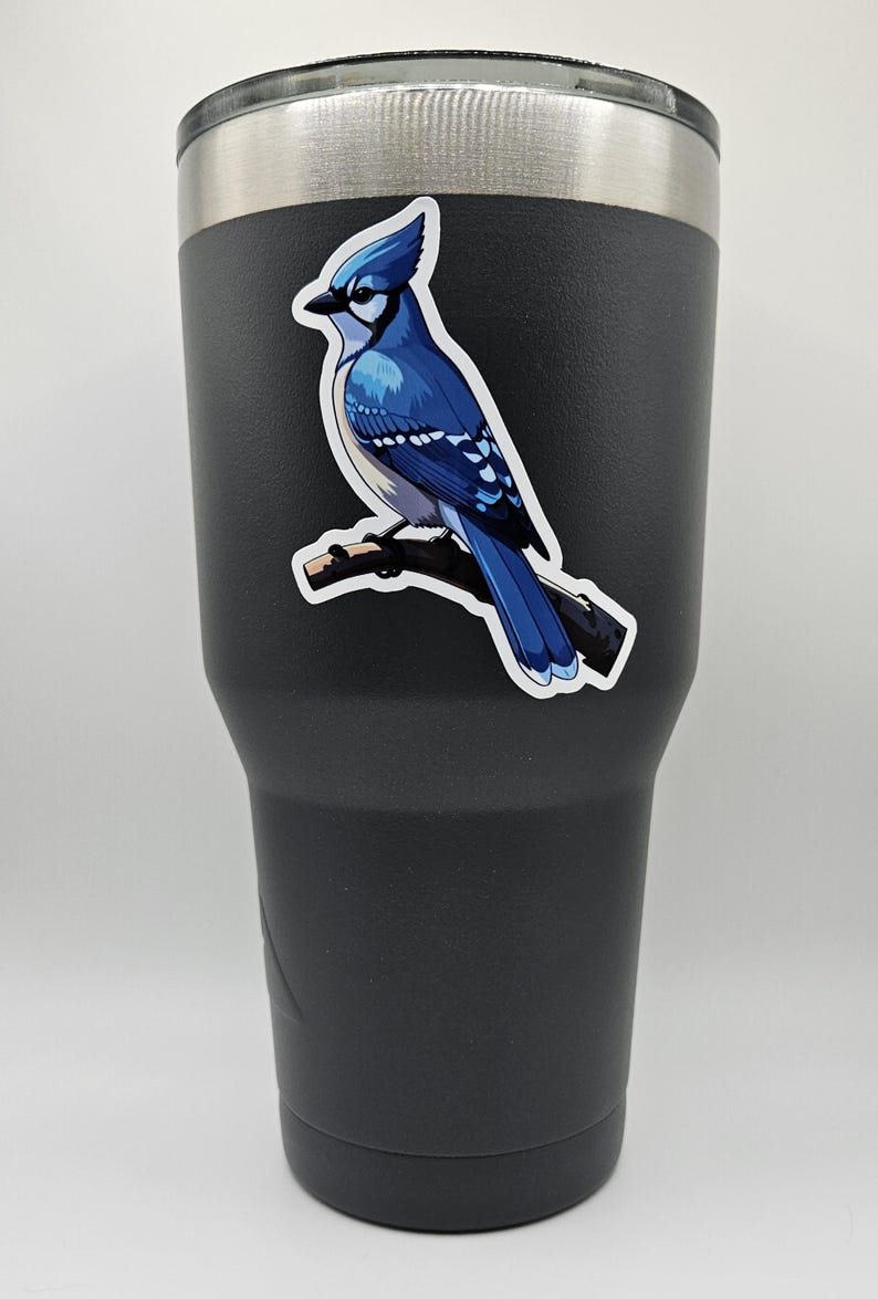 Blue Jay Bird Sticker – Blue Jay Sticker – Wildlife Bird Laptop & Water ...
