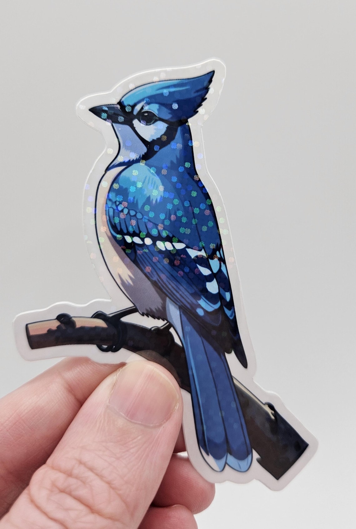Blue Jay Bird Sticker – Blue Jay Sticker – Wildlife Bird Laptop & Water ...