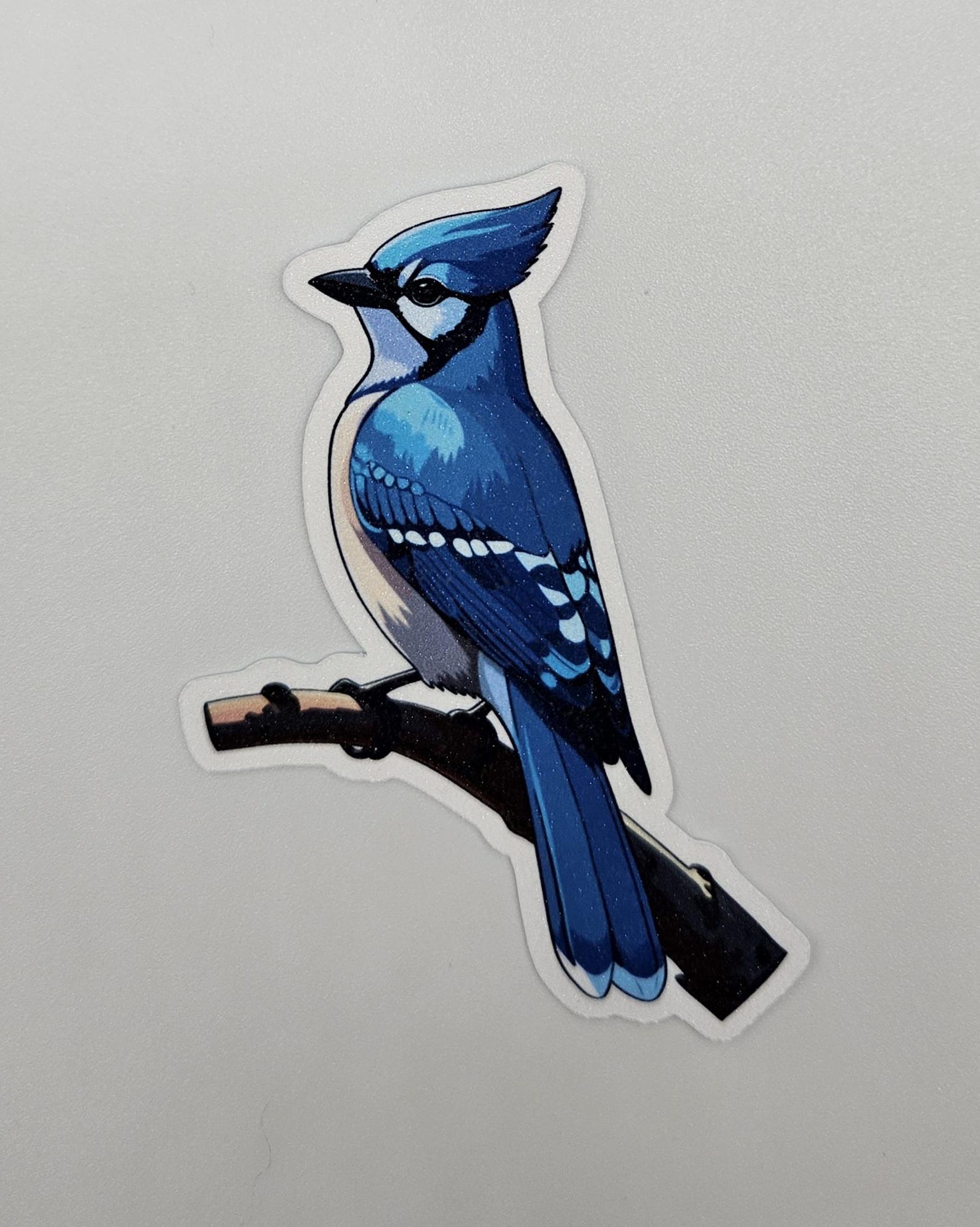Blue Jay Bird Sticker – Blue Jay Sticker – Wildlife Bird Laptop & Water ...