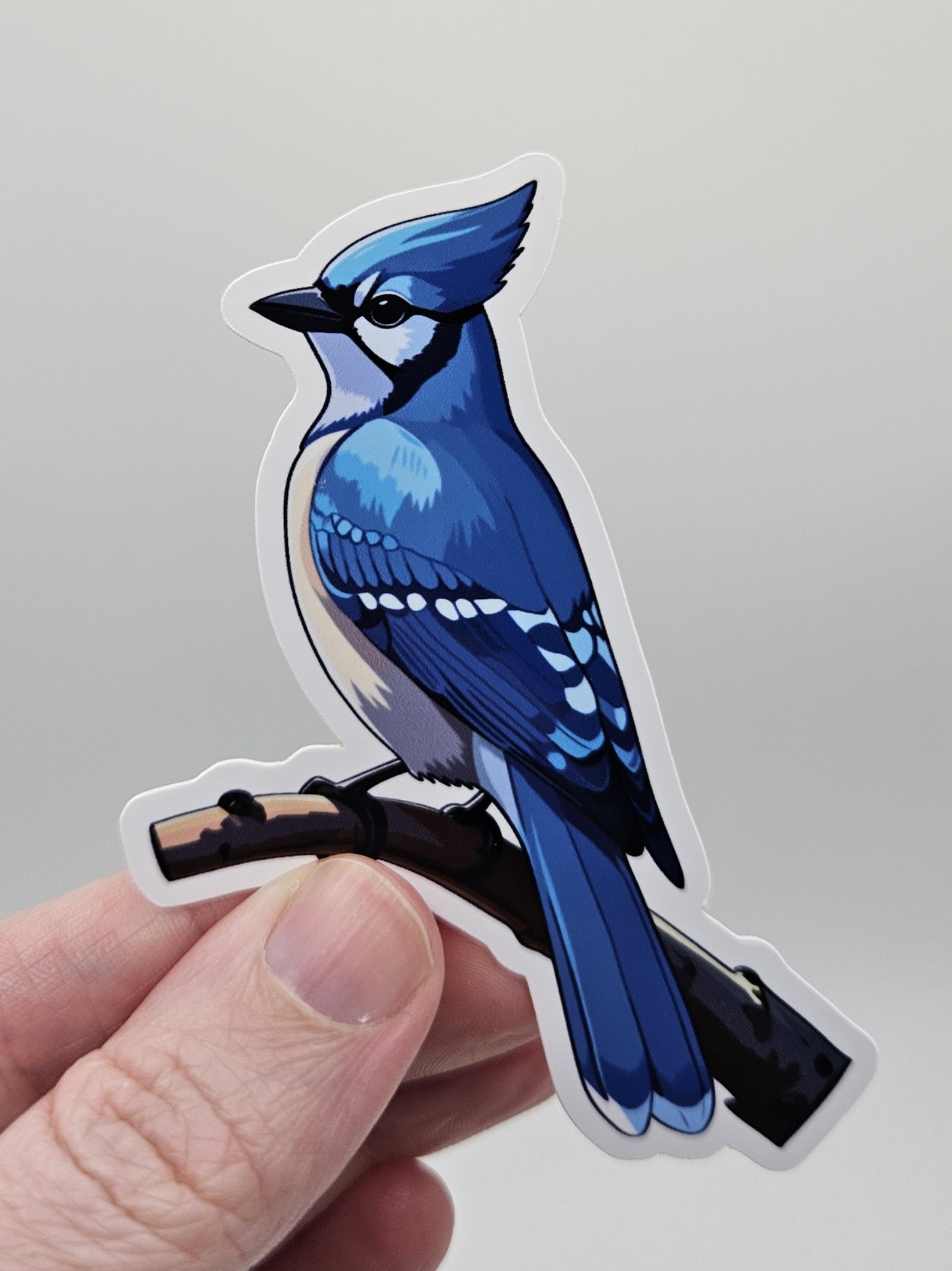 Blue Jay Bird Sticker – Blue Jay Sticker – Wildlife Bird Laptop & Water ...