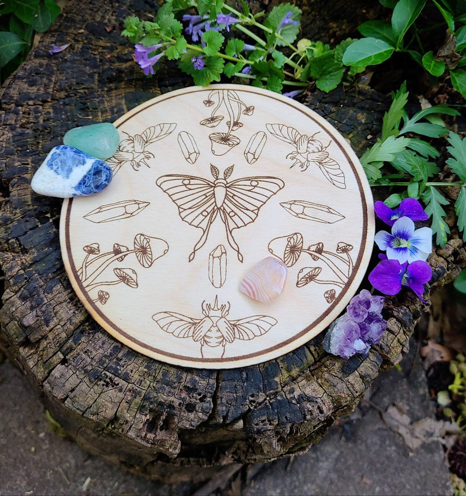 6" Luna Moth Crystal Grid Board, Lasercut Birch, Moth Crystal Grid ...