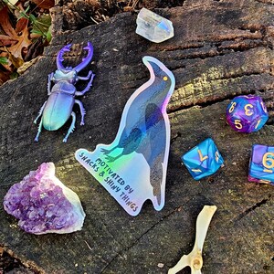 Snacks & Shiny Things Crow Sticker, 3" Vinyl Decal, Funny Holographic ...