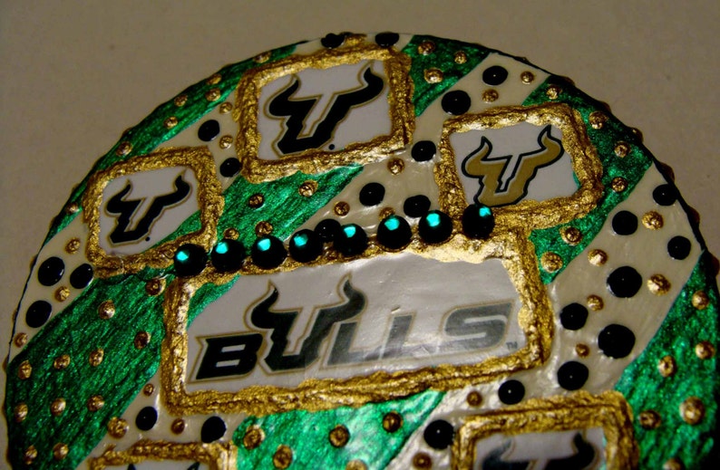 USF - Support the University of South Florida Bulls - Goooooo ...