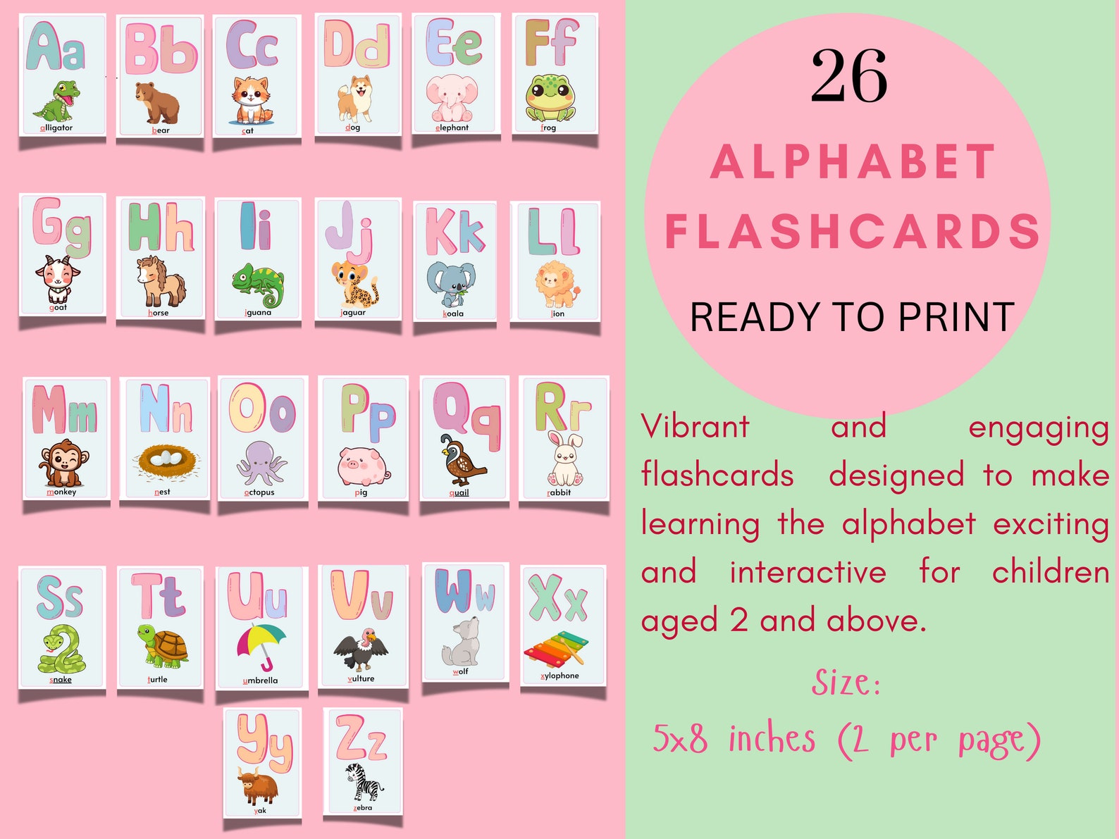 Flashcards Learning Bundle for Kids: Alphabet Flashcards,number ...