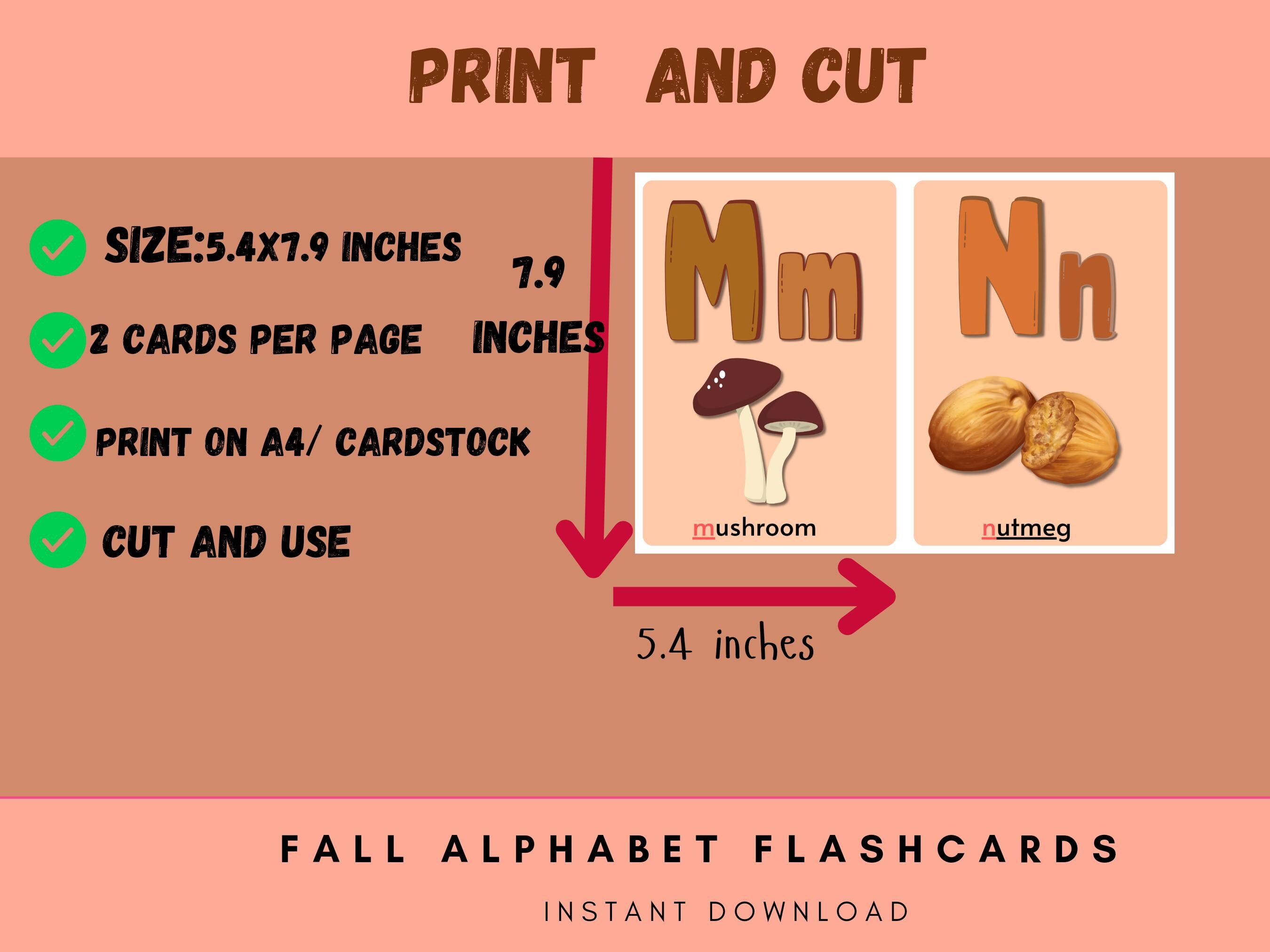 Alphabet Flashcards: ABC Printable Learning Cards (digital Download) - Etsy