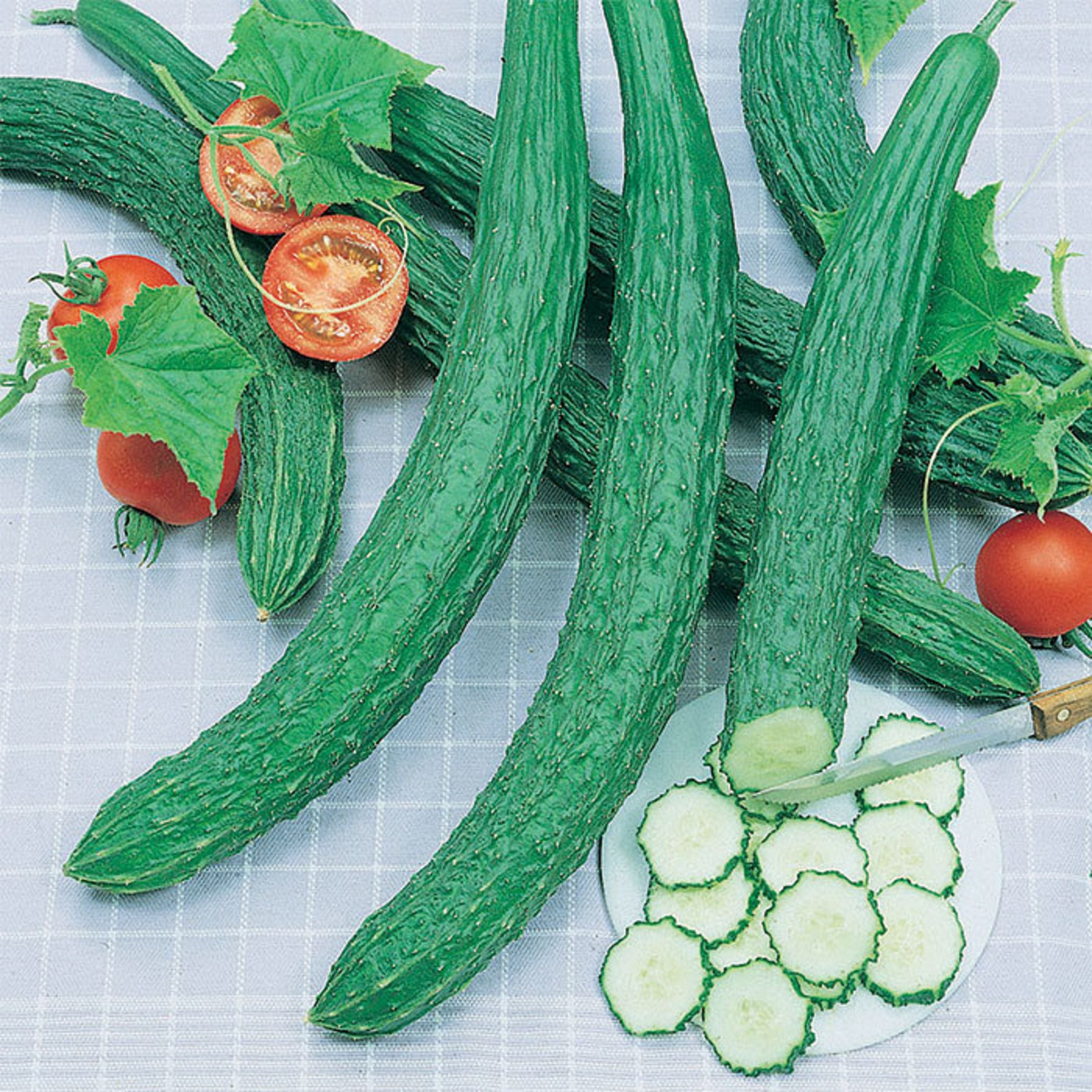 Suyo Long Cucumber Seeds - Etsy