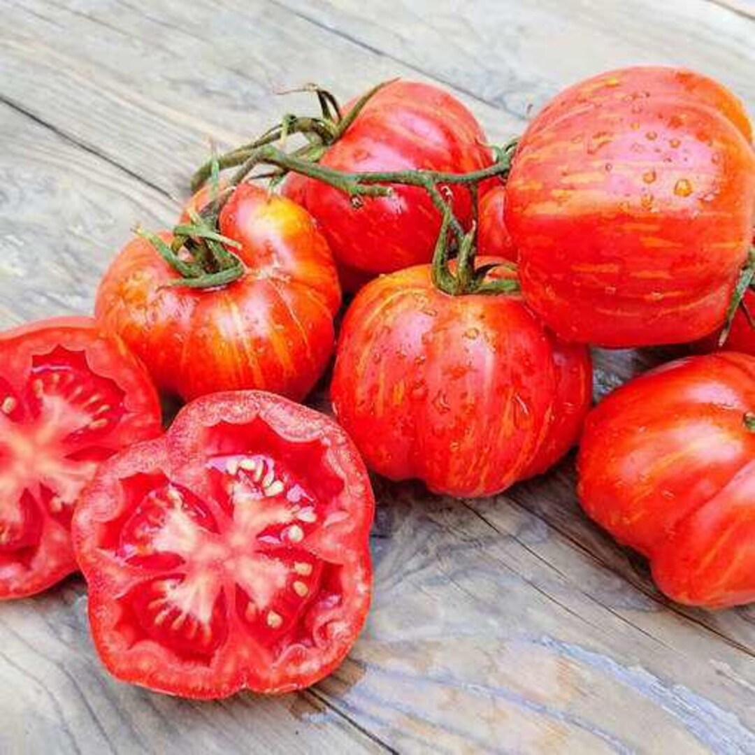 Striped Paste Tomato Seeds - Etsy