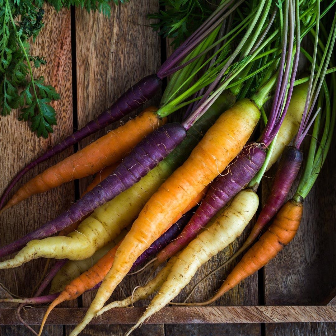 RAINBOW Blend Carrot Seeds - Etsy