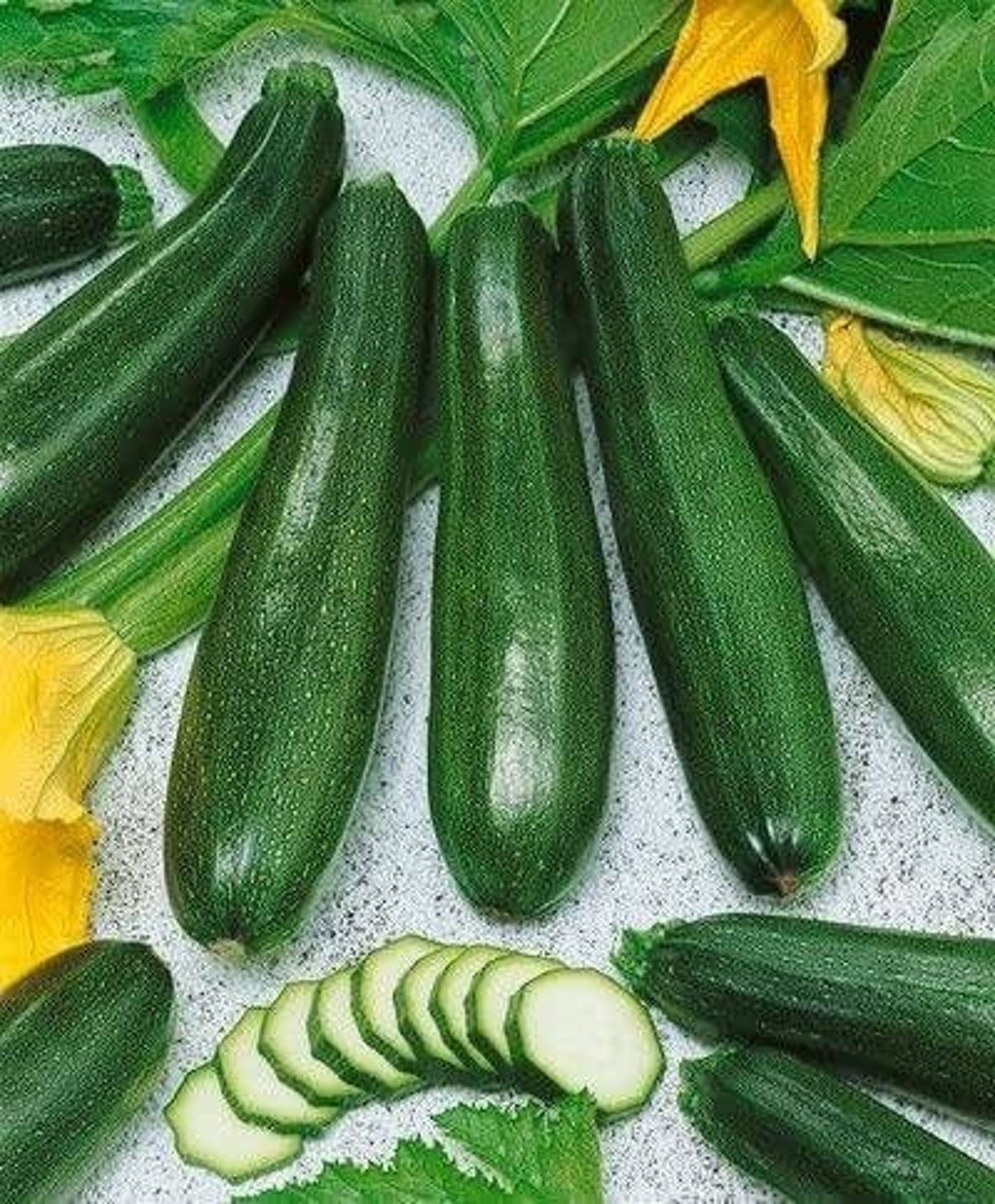 Zucchini Elite Squash Seeds - Etsy