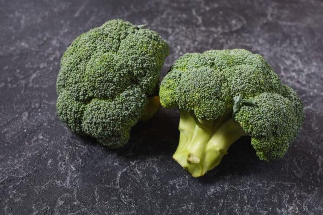 Imperial Broccoli Seeds - Etsy