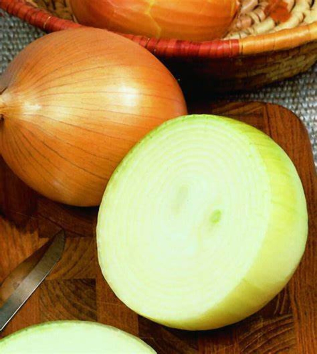 Wall Walla Onion Seeds - Etsy