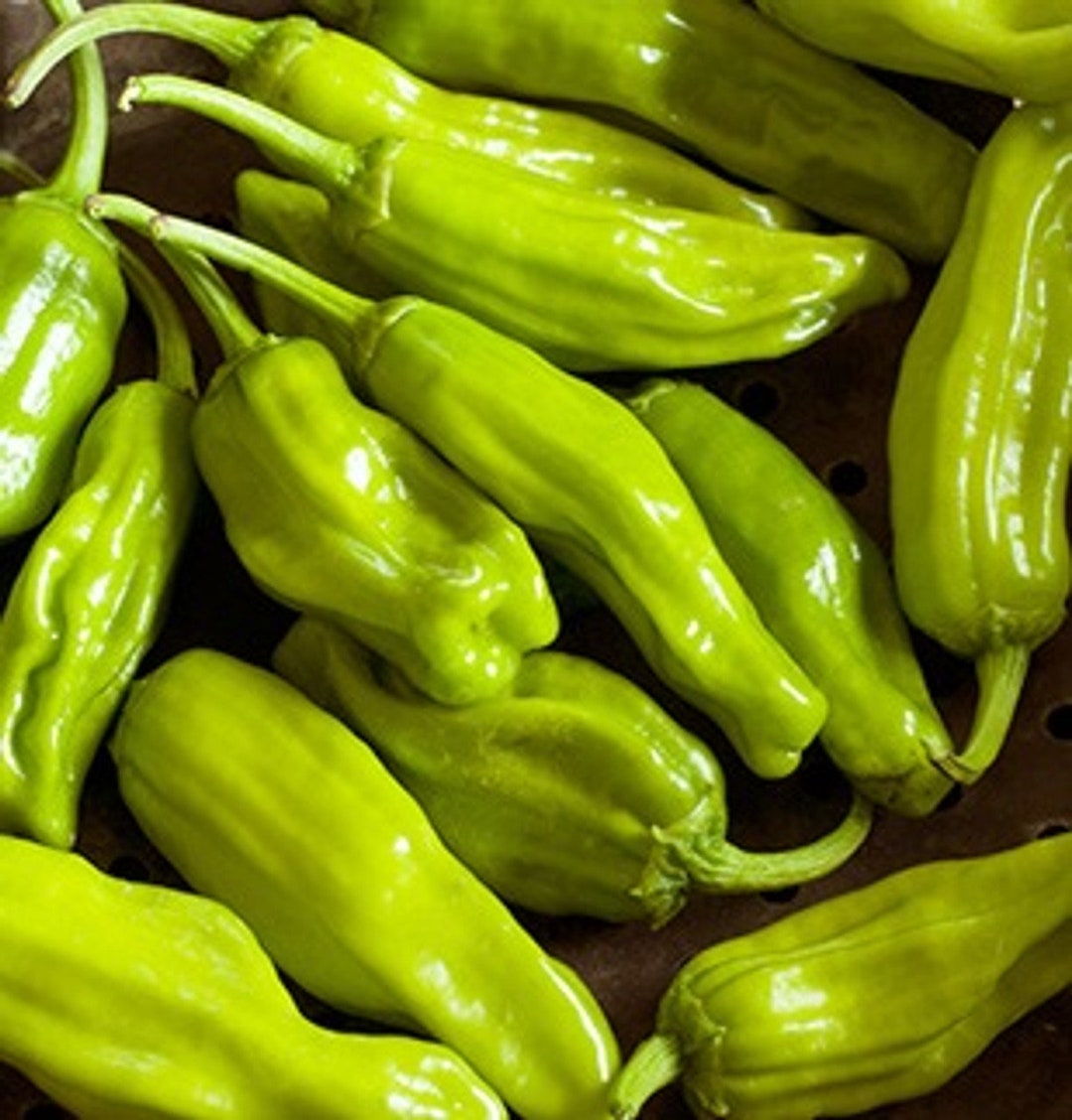 Golden Greek Pepperoncini Hot Pepper Seeds - Etsy