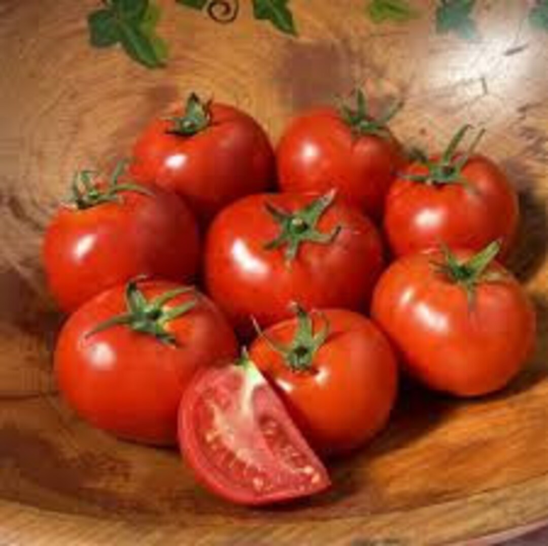 Oregon Spring Tomato Seeds - Etsy