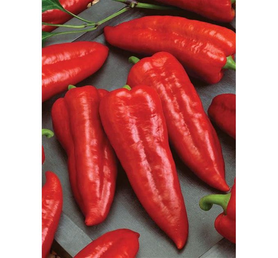 Marconi Sweet Red Pepper Seeds - Etsy