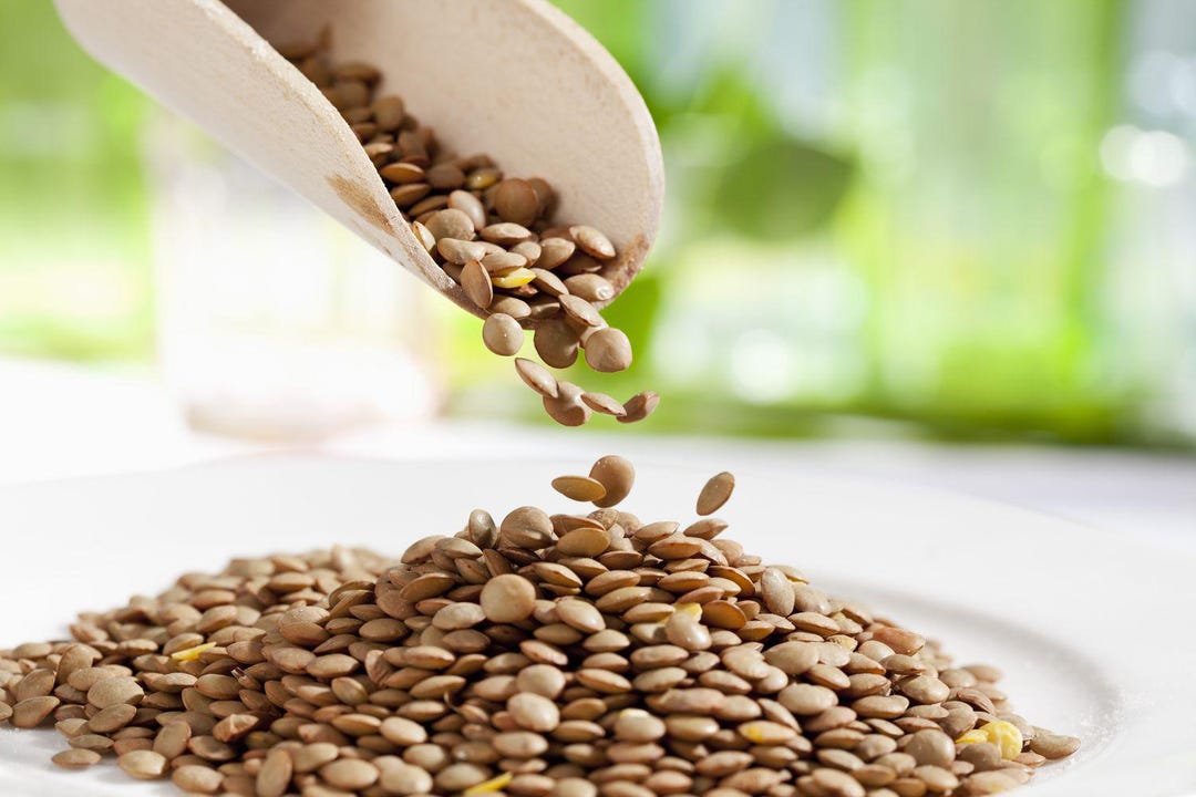 Lentil Seeds - Etsy