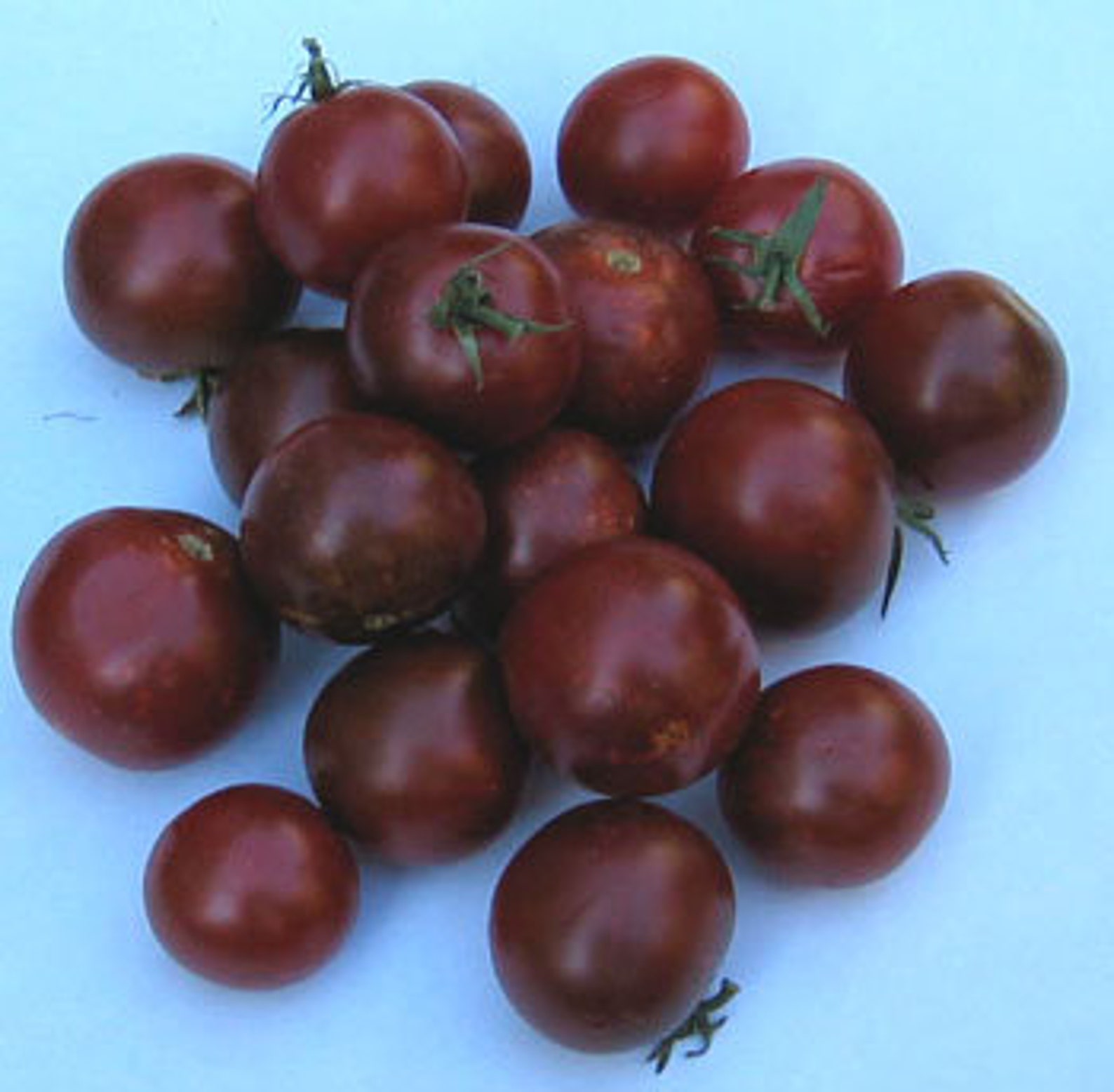 Chocolate Cherry Tomato Seeds - Etsy