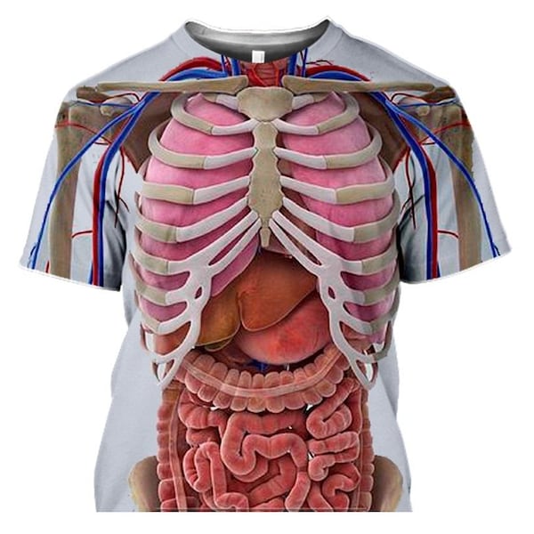 Anatomy Body Suit - Etsy