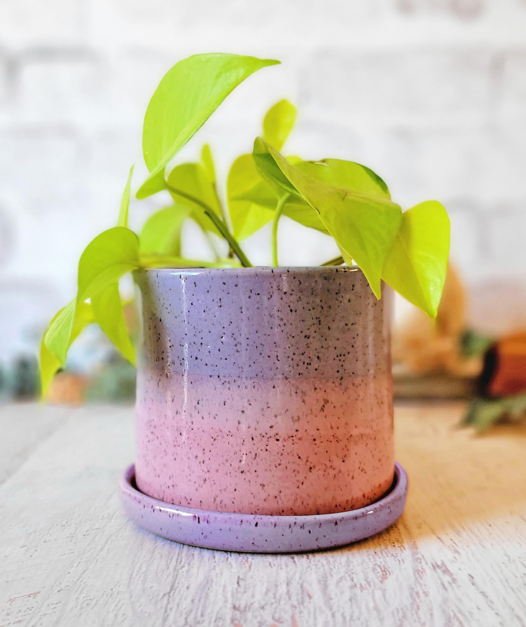 Color Blend Indoor Planters - Ceramic Planter - Pottery Planter ...