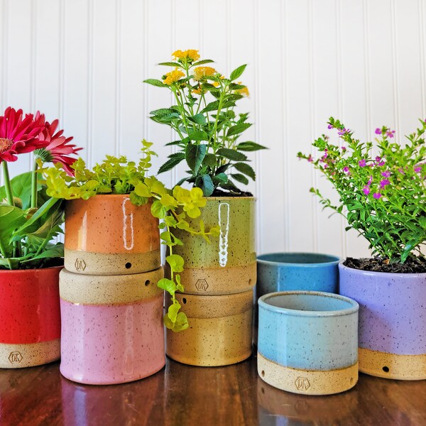 Colorful Indoor Plant Pots at Myron Moses blog