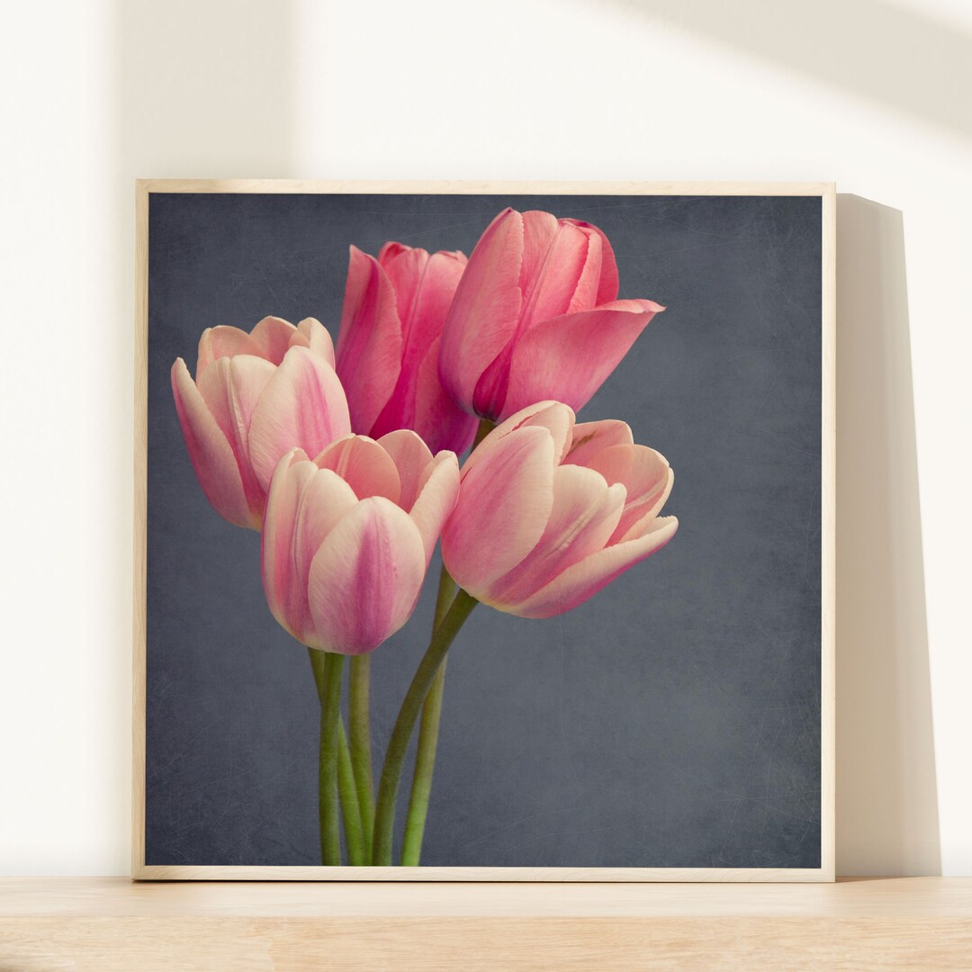 Tulip Print, Pink Tulip Photography Print, Tulip Art, Large Wall Art ...