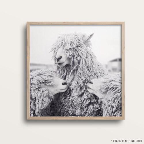 Botanical Print No.17 Les Fleurs Giclee Art Print Antique | Etsy