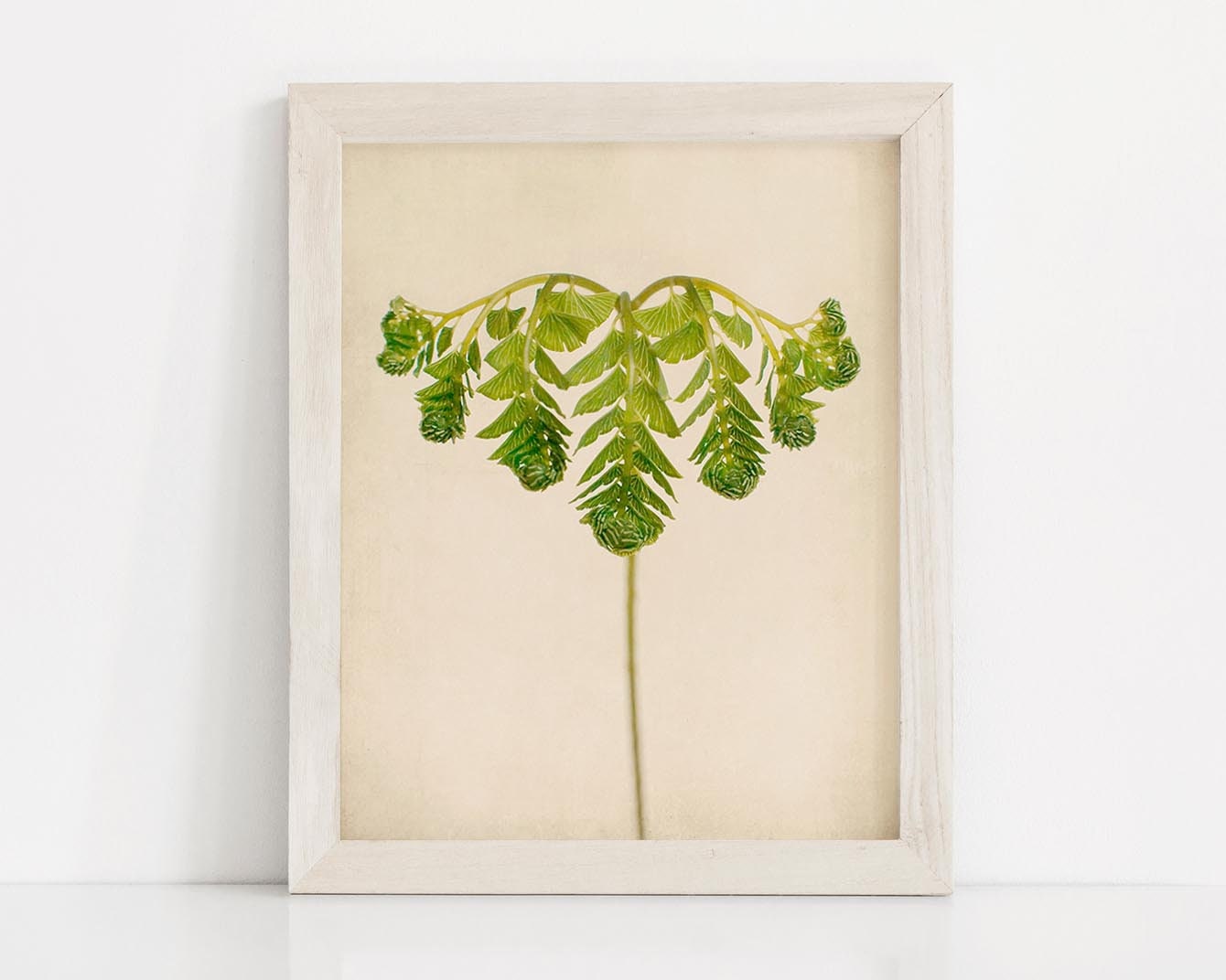 Botanical Print Maidenhair Fern Print Nature Wall Decor | Etsy