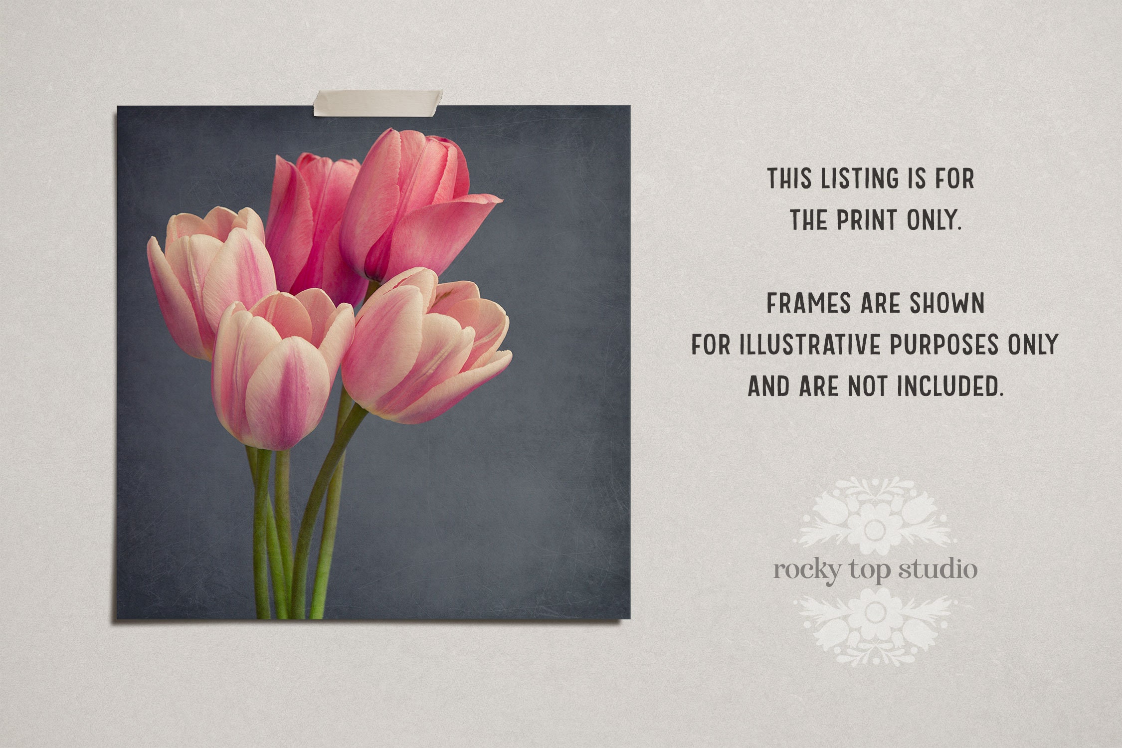 Tulip Print Pink Tulip Photography Print Tulip Art Large | Etsy