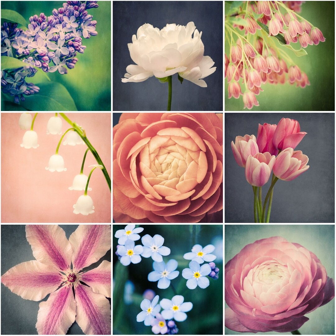 Flower Photography Print Set, Affordable Wall Art, Colorful Wall Art ...