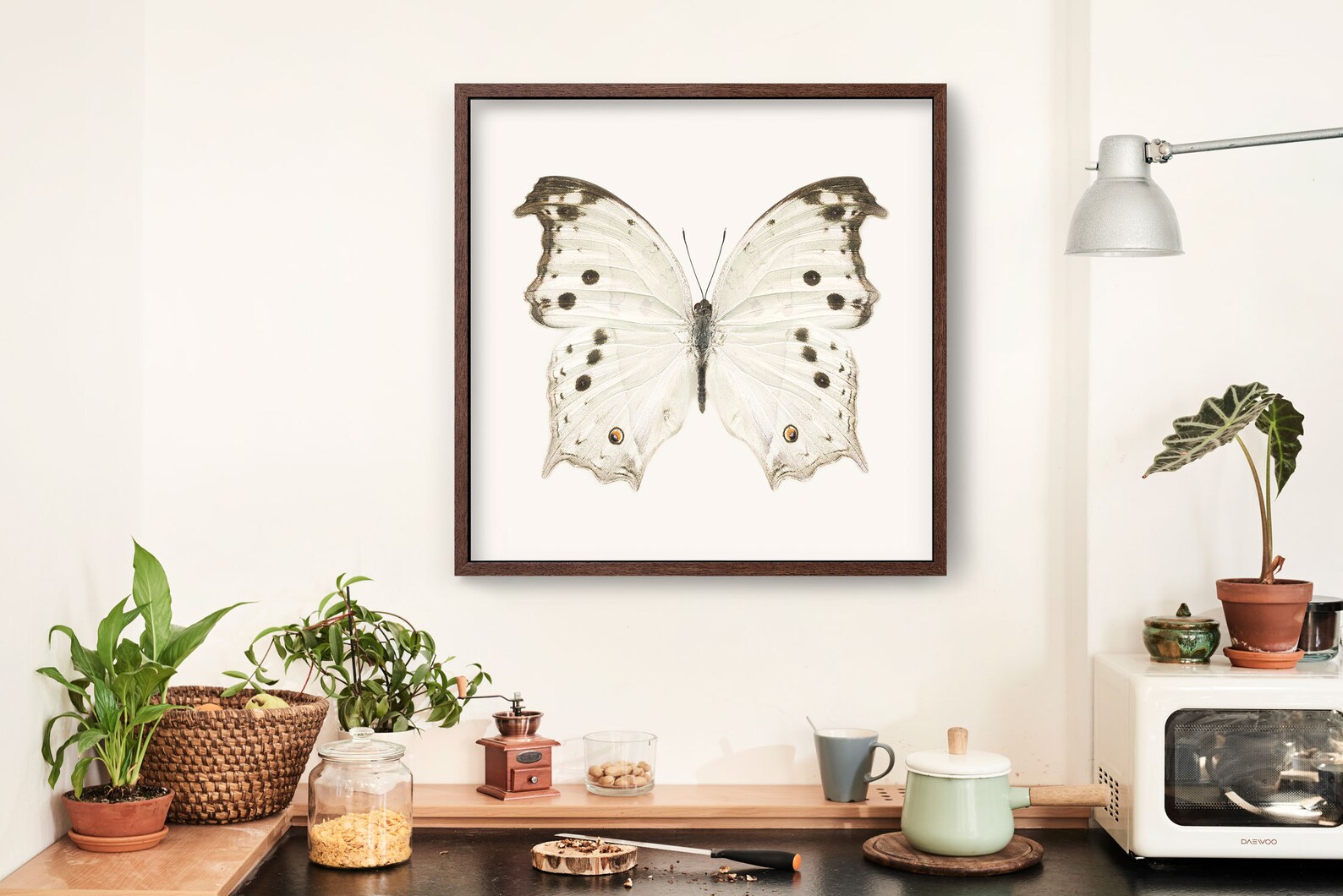 Butterfly Print Wall Art Nature Photography Neutral White - Etsy