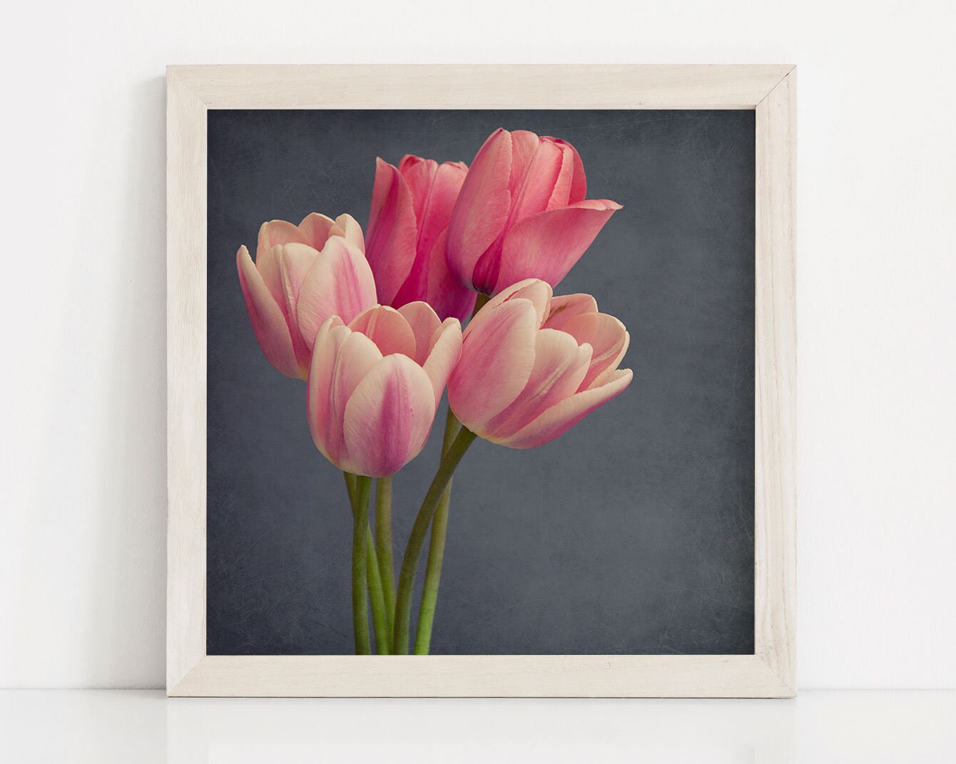 Tulip Print Pink Tulip Photography Print Tulip Art Large | Etsy