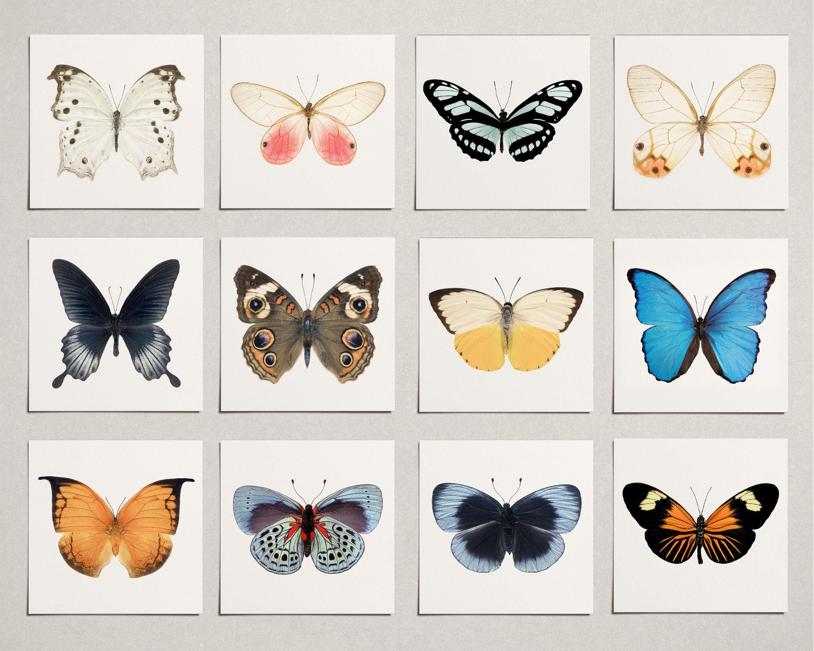 Butterfly Print Set Affordable Art Prints 5x5 Photo | Etsy