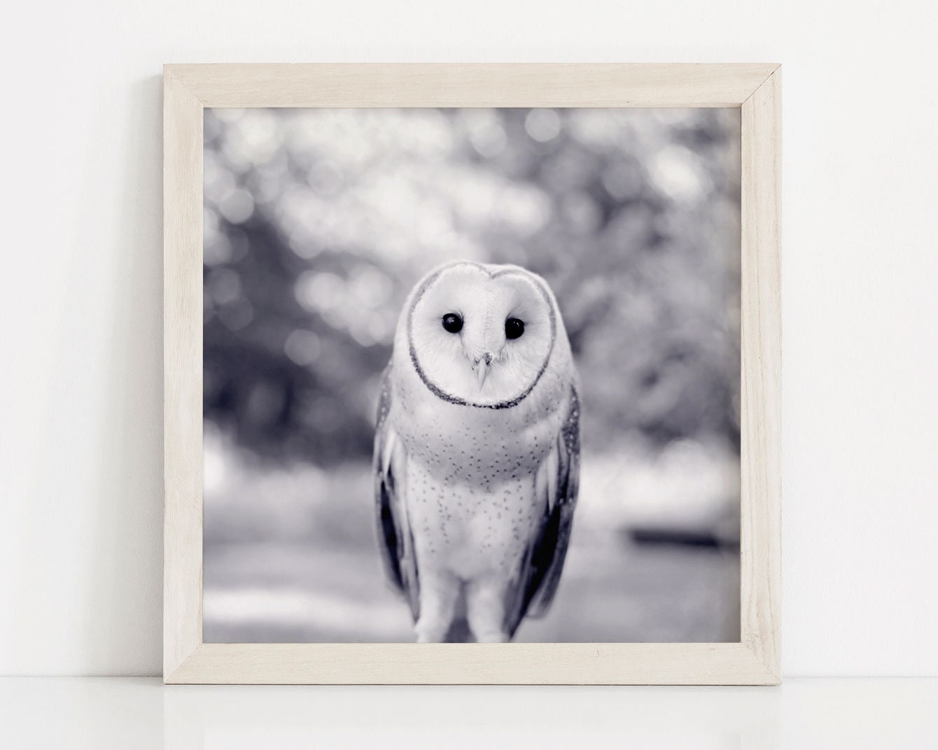 Barn Owl Print Woodland Animal Photography Print Owl Art | Etsy