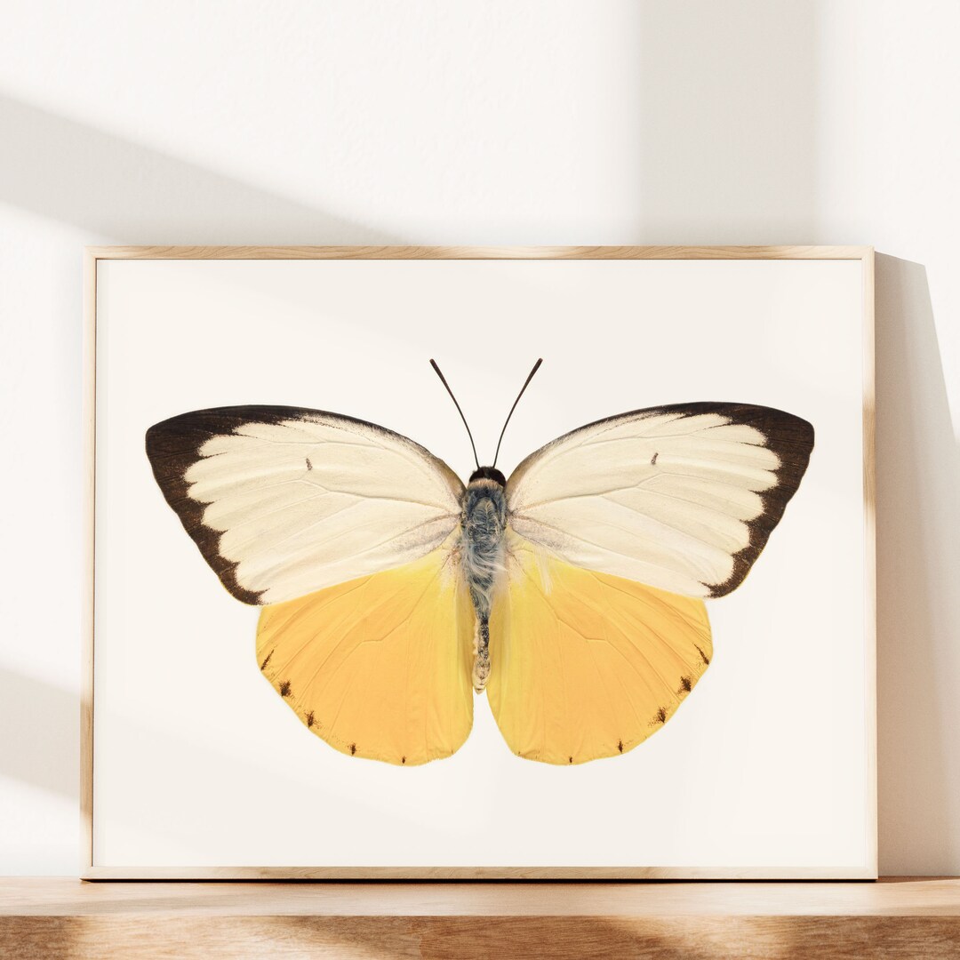 Yellow Butterfly Print, Bedroom Art Print, Wall Art for Office ...