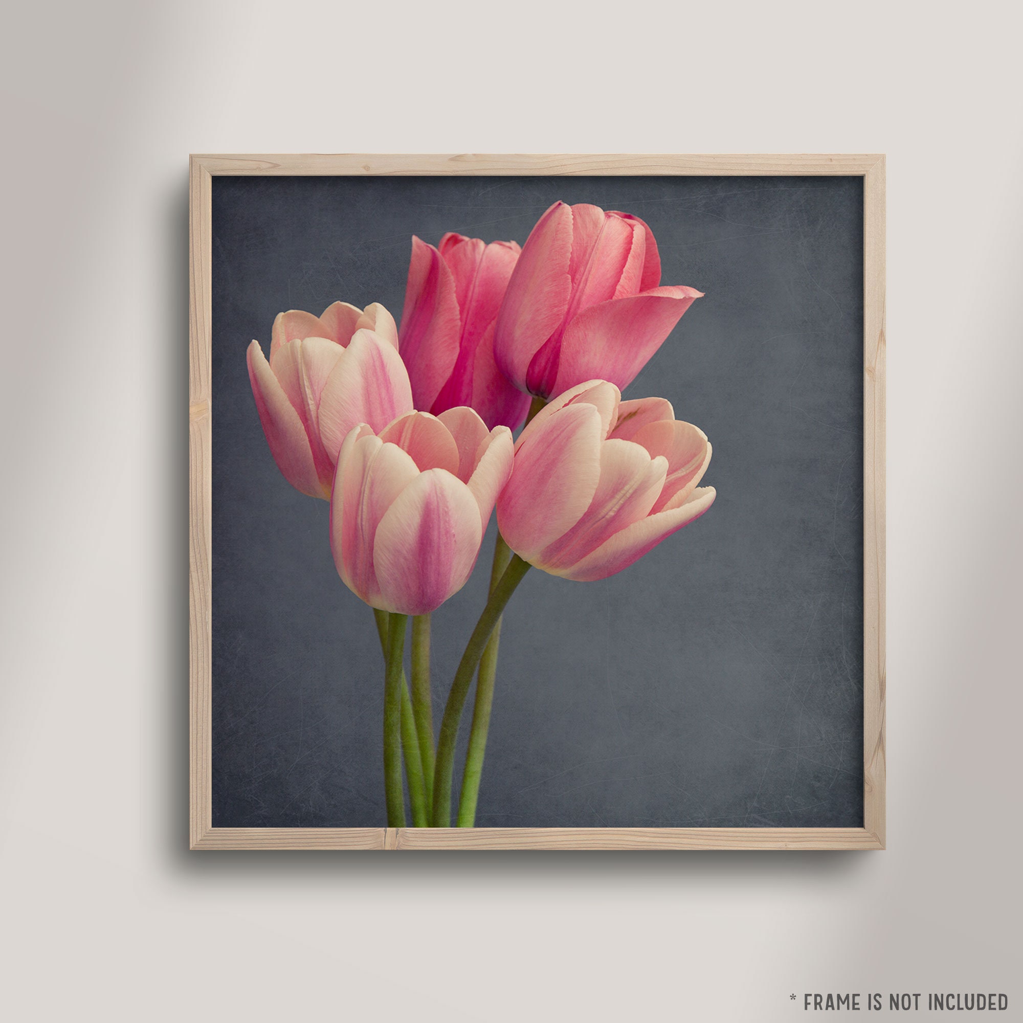 Tulip Print Pink Tulip Photography Print Tulip Art Large | Etsy