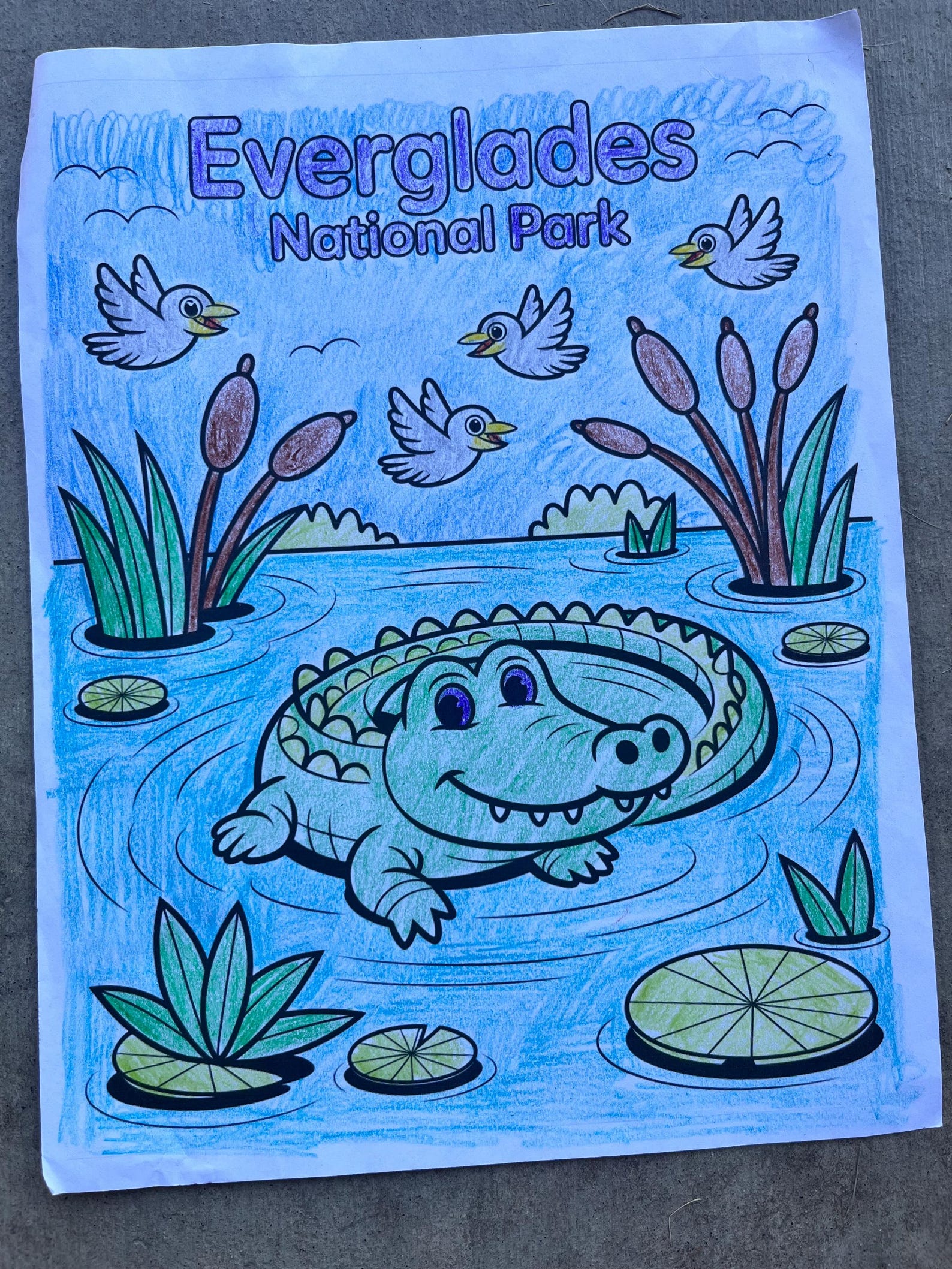 PRINTABLE National Parks Coloring Pages, Kids National Parks Coloring ...