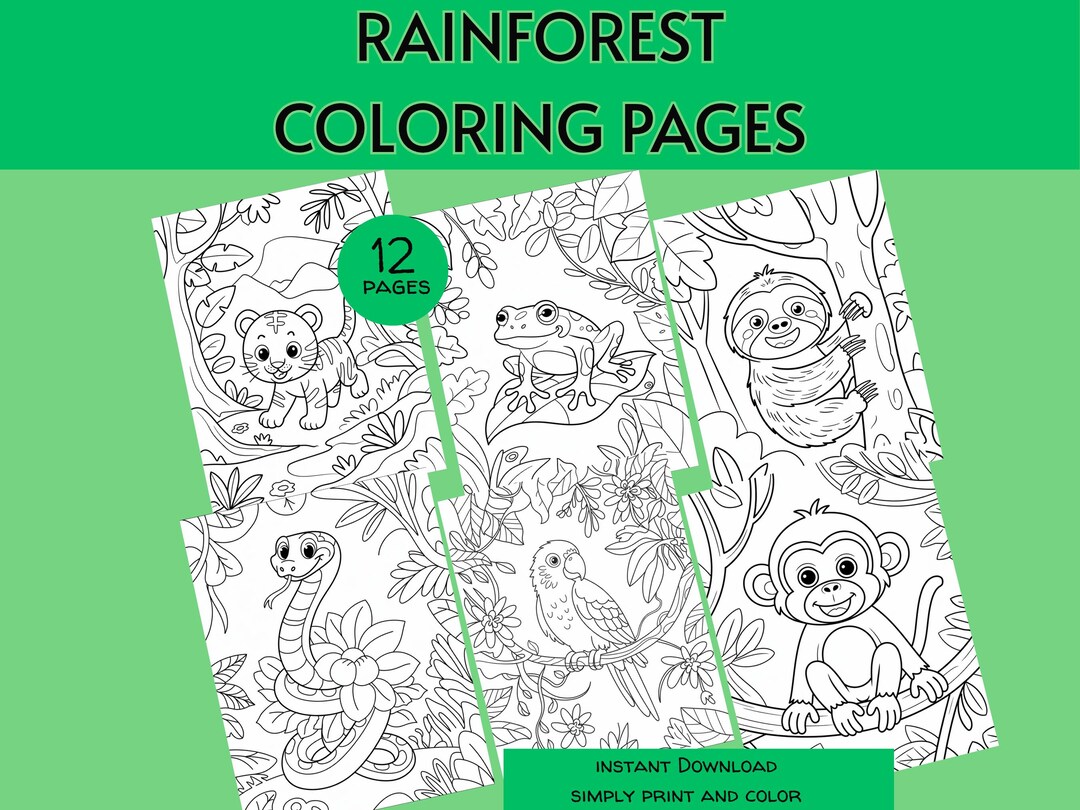 PRINTABLE Rainforest Coloring Pages, Rainforest Coloring Sheets, Kids ...