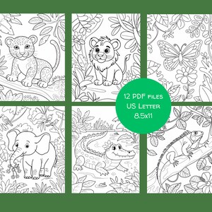PRINTABLE Rainforest Coloring Pages, Rainforest Coloring Sheets, Kids ...
