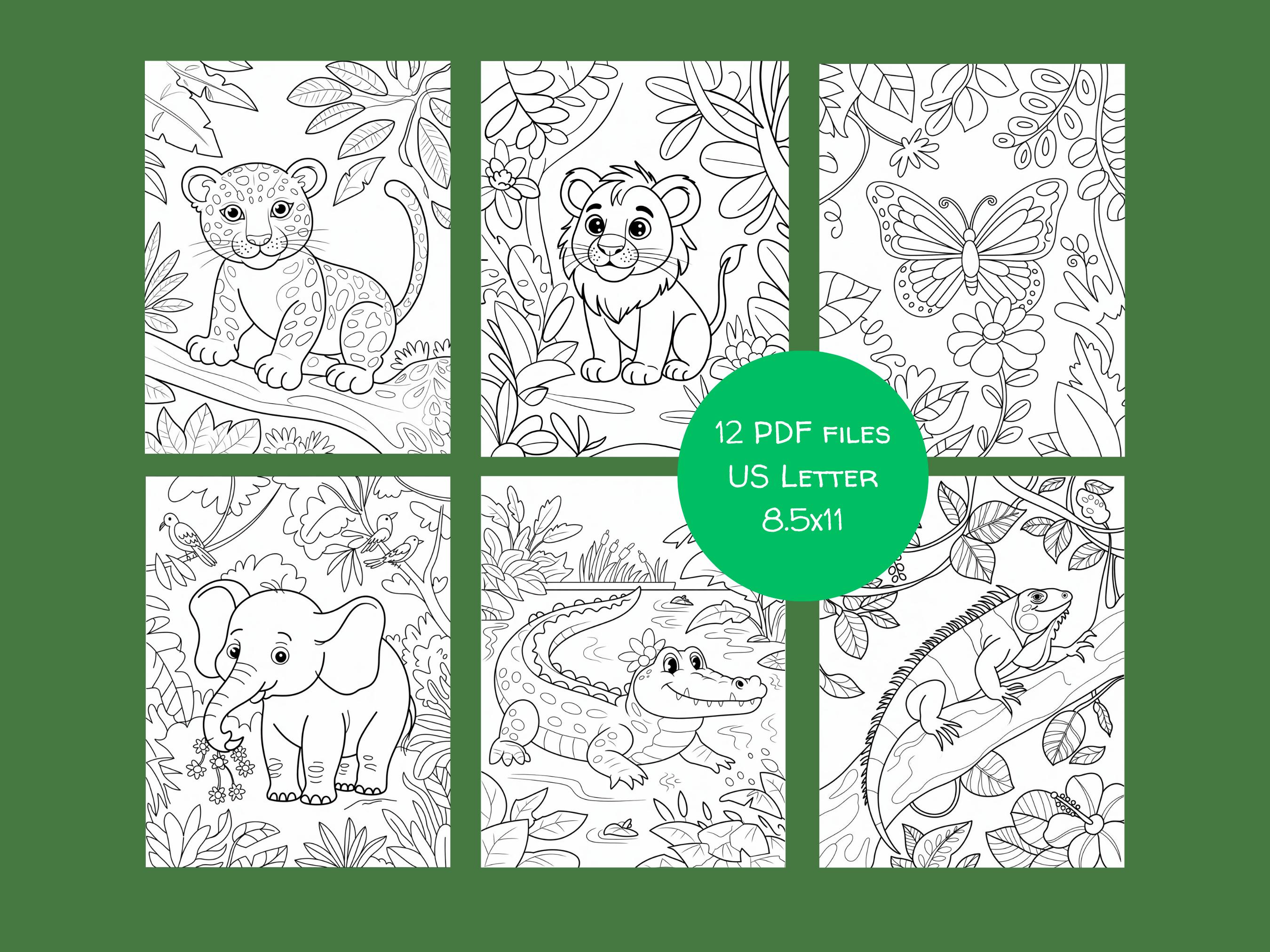 PRINTABLE Rainforest Coloring Pages, Rainforest Coloring Sheets, Kids ...