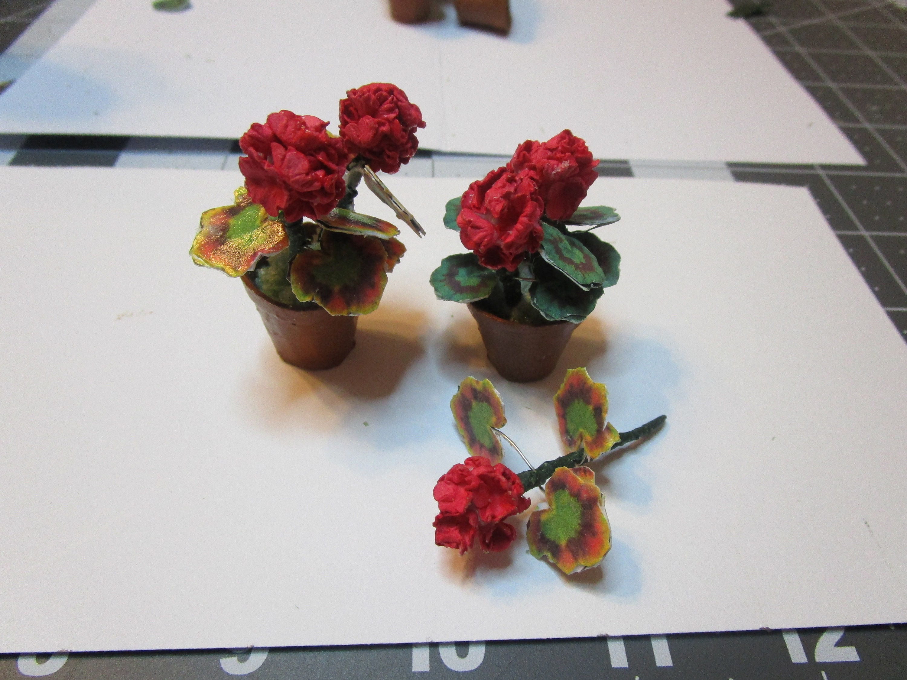 Creating Beautiful Miniature Geraniums Plants and Pots - Etsy