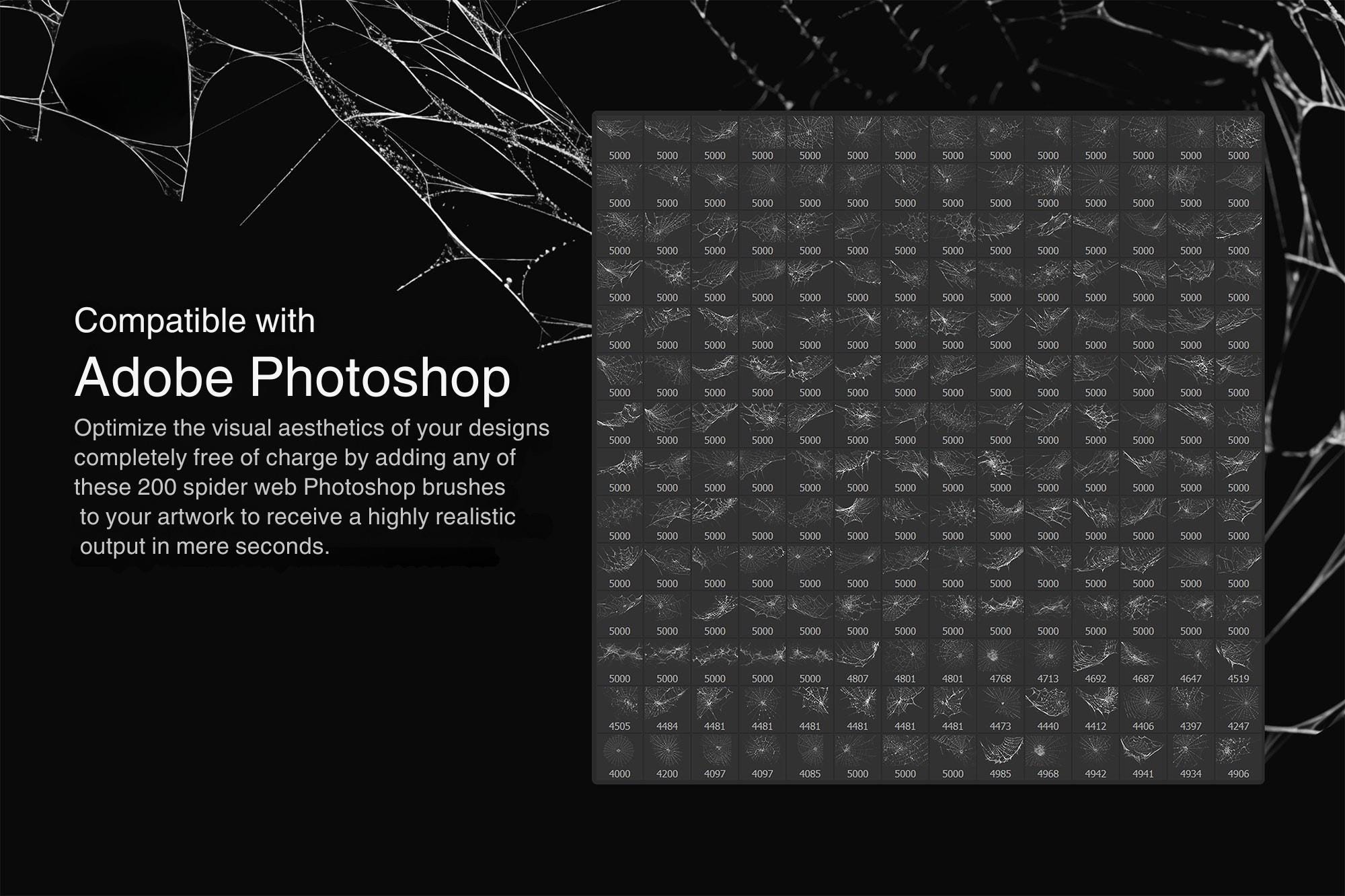 Spider Web Photoshop Brushes Collection: 4K Cobweb Textures, Halloween ...