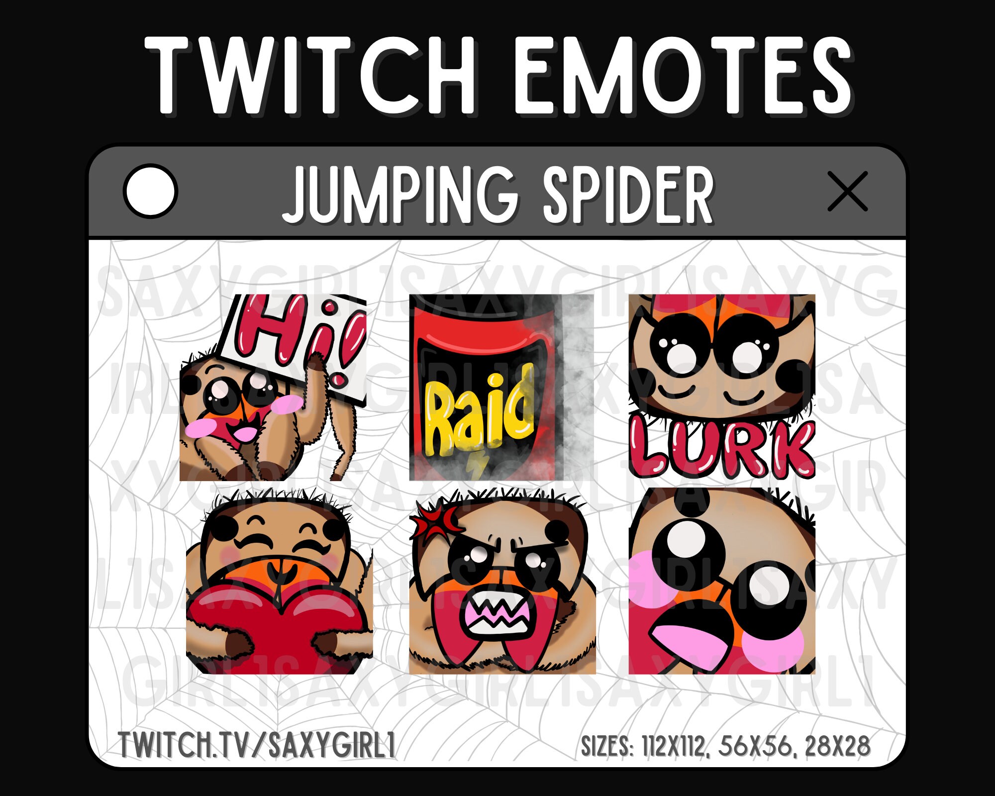 Regal Jumping Spider Phidippus Regius Emotes Brown | Set of 6 High ...