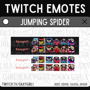 Regal Jumping Spider Phidippus Regius Emotes Brown | Set of 6 High ...