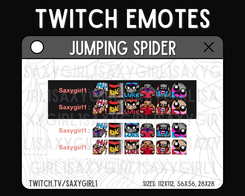 Regal Jumping Spider Phidippus Regius Emotes Brown | Set of 6 High ...