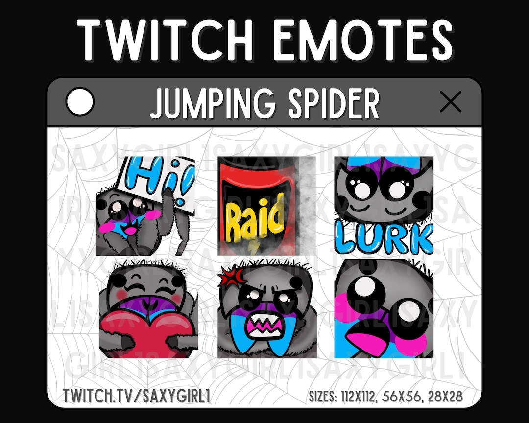 Regal Jumping Spider Phidippus Regius Emotes Black | Set of 6 High ...