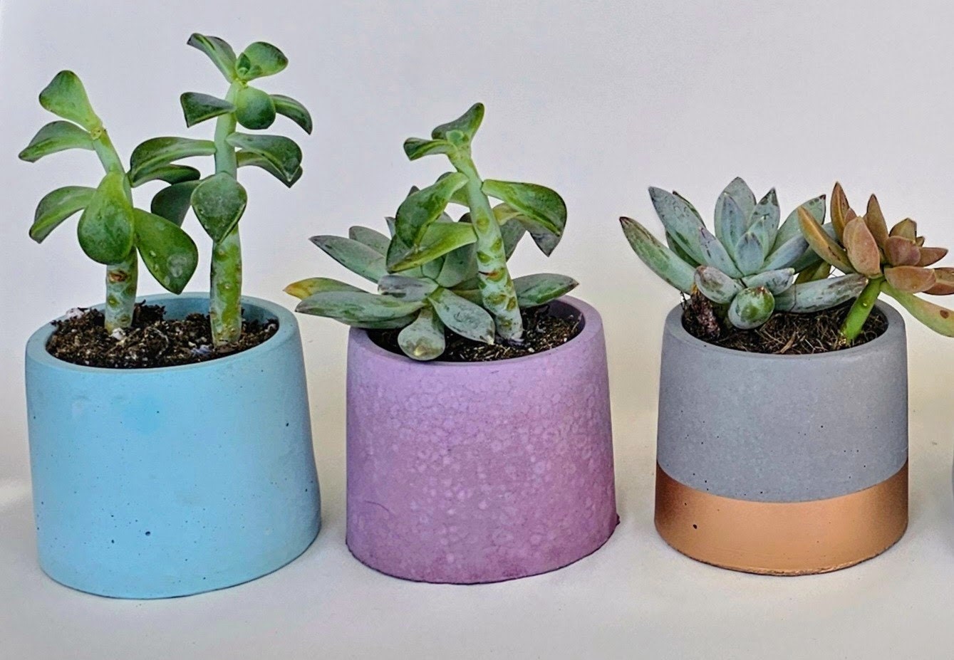 Cement Flower Pot - Etsy